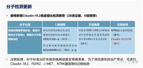 2023版csco胃癌诊疗指南更新ppt Csco 胃癌 肿瘤 癌症 健康界