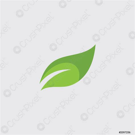Eco Icon Green Leaf Vector Illustration Template Stock Vector 2097256