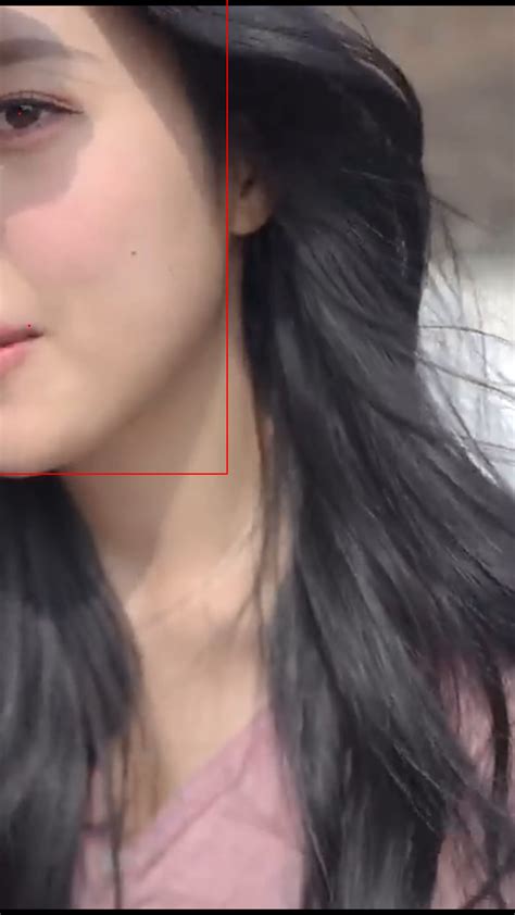 Insightface人脸识别算法的应用 流 年