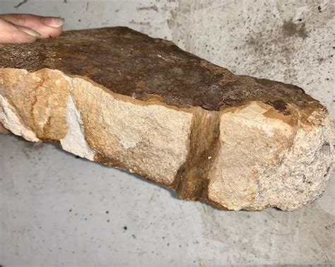 Polystrate What Is A Polystrate Fossil Ask John Mackay Creation