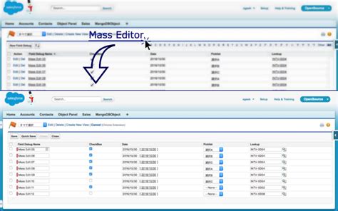 Salesforce Mass Editor Chrome Extension Mass Create Mass Update