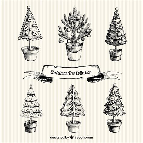 Colección de árboles de navidad dibujados a mano Vector Premium