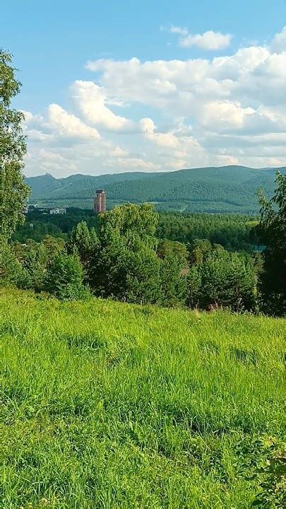 Красота Сибирской природы🌲 2024 лето лес горы тайга сибирь
