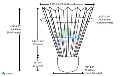 Everything You Need To Know About Badminton Court Dimensions Vmkonsport