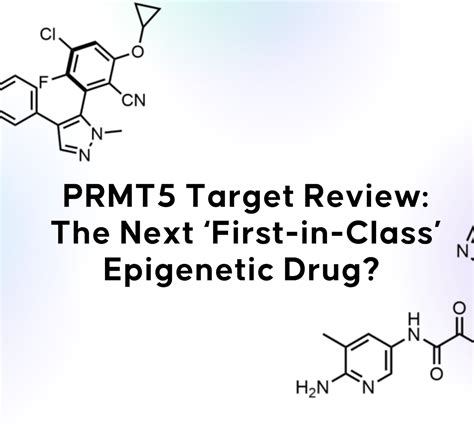 Prmt5 Target Review The Next First In Class Epigenetic Drug