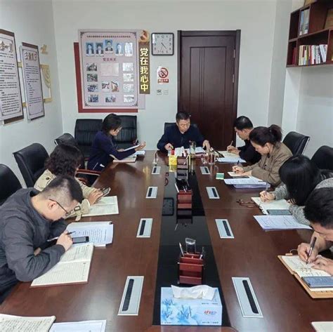 乌海市委网信办党支部召开2022年第9次学习会工作青年国家安全观