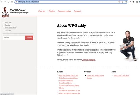JobWP Buddy 在印度招聘岗位要求了解 APIJSON Issue 559 Tencent APIJSON GitHub
