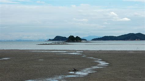 한국 해변 지주 Pixabay의 무료 사진 Pixabay