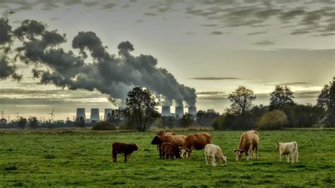 How Can We Reduce Methane Emissions Sigma Earth