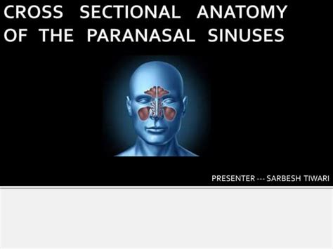 Radiological Anatomy Of Frontal Sinus Ppt