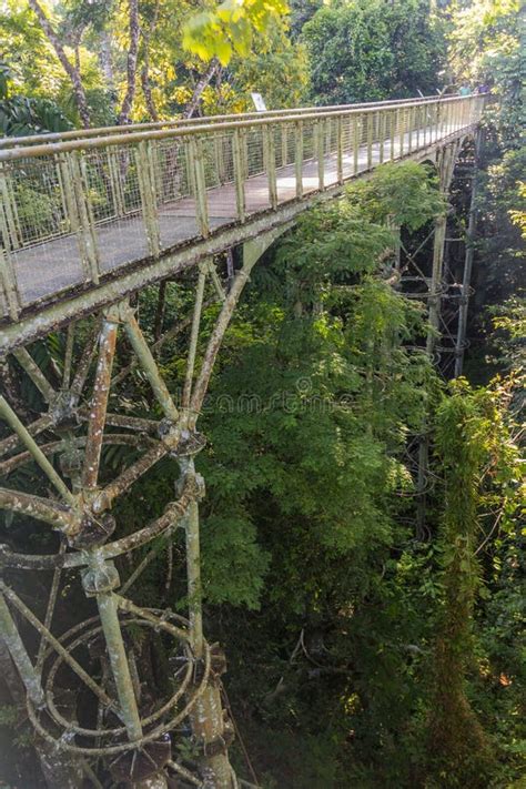 Puente De Observación Del Dosel Forestal En El Centro De Descubrimiento
