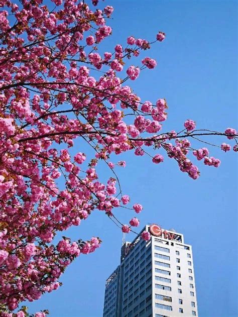 接下来的几个月贵州是这样的 美景 方式 百姓