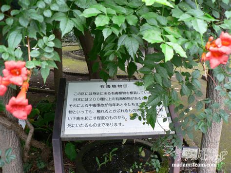 ご禁制植物に毒草 癒されるけど怖い「東京都薬用植物園」【東京】 日本珍スポット100景