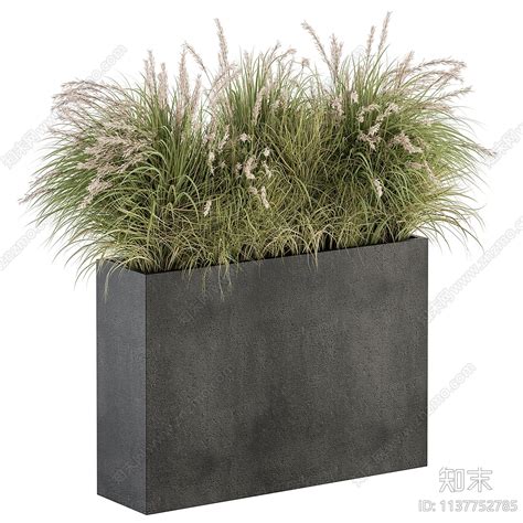 花草su模型下载【id1137752785】知末su模型网