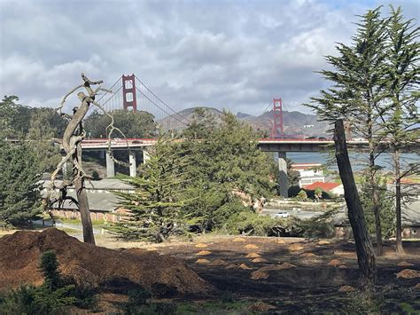 Restoring Green Space Presidio Forward The Presidio San Francisco