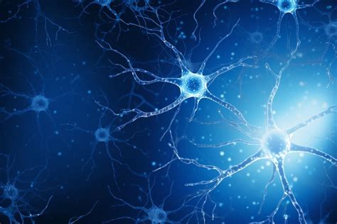 Premium Photo A Blue Background With The Words Neuron Premium Photo A Blue Background With The Words Neuron