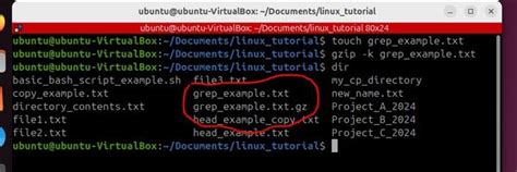 Top 50 Linux Terminal Commands Every Roboticist Should Know
