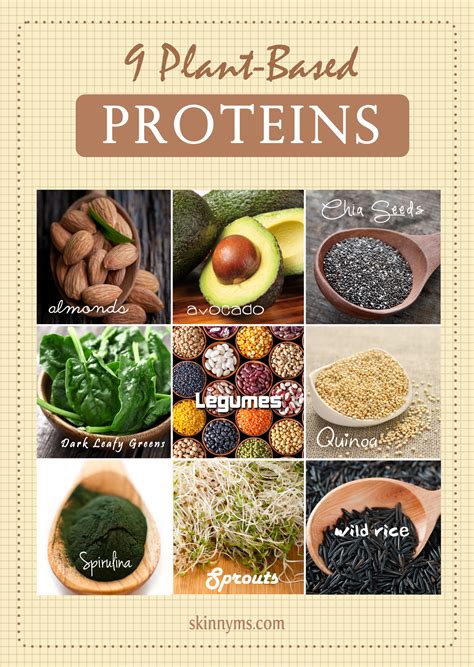 9 Plant Based Proteins Tomato Nutrition Plant Based Protein Plant