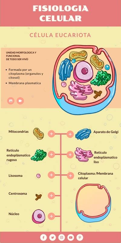 Fisiología Celular Genially
