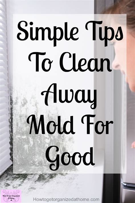 Important Differences Between Mold Mildew How To Clean Them Artofit