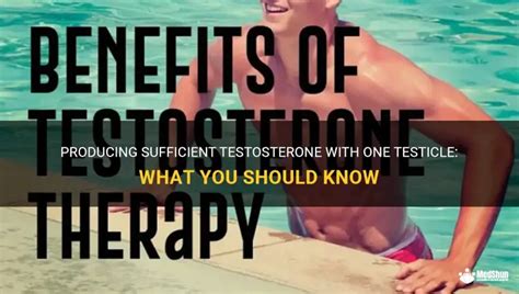Producing Sufficient Testosterone With One Testicle What You Should Know Medshun