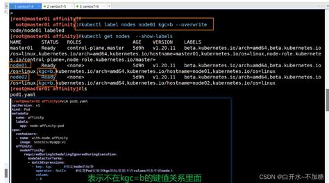 【kubernetes】关于k8s集群如何将pod调度到指定node节点亲和与反亲和等pod指定node Csdn博客