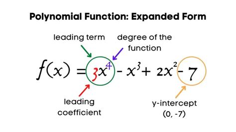 Polynomial Functions Intomath