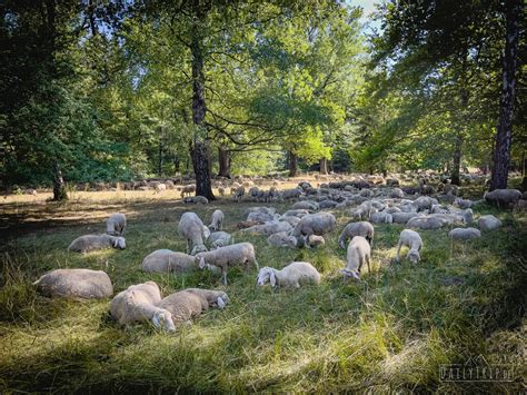 Englischer Garten Nordteil München 5 Geheimtipps Im Park