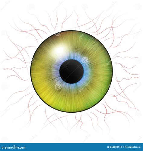 Iris Of The Eye Human Iris Eye Illustration Yellow Eye Creative Digital DeIris Eyes Human