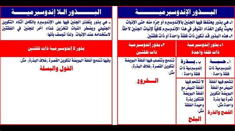 تكوين البذور أحياء الصف الثالث الثانوي Youtube