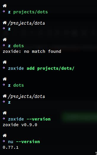 Zoxide Wont Remember Paths In Nushell · Issue 546 · Ajeetdsouzazoxide · Github