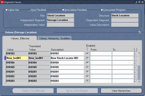 Learn Oracle Oracle Inventory Flexfields Implementation