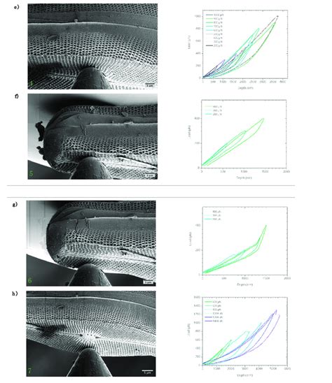 In Situ Micro Indentation Experiments Were Conducted At Seven Different Download Scientific