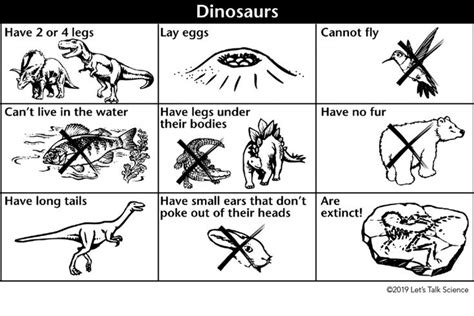 Dinosaur Sorting Chart Dinosaur Compare And Contrast Learning