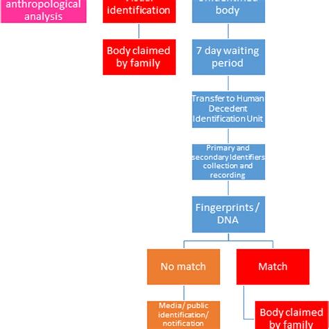 Workflow Of Identification Processes At The Johannesburg Forensic