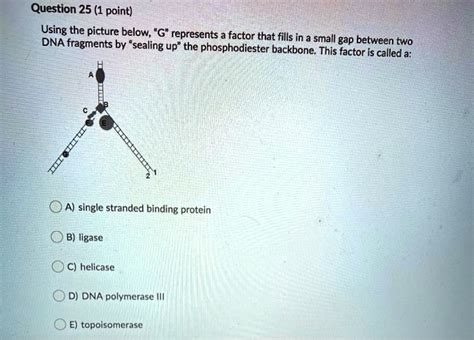 solved question 25 1 point using the picture below g represents a factor that fills in a