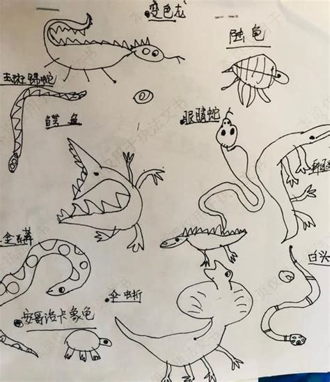 爬行动物简笔画图片大全 爬行动物简笔画图片大全小动物 配图网