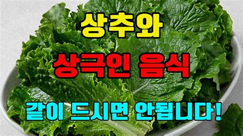 천연 강장제 상추와 상극인 음식 절대 같이 드시지 마세요 궁합이 좋은 음식 3가지와 레시피 이렇게 드시면 고혈압 암
