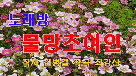 물망초 여인 Mr 노래방 작사 김병걸 작곡 최강산 원곡 오정하 Youtube