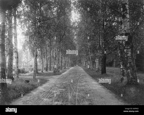 This Title Appears To Be In An Incomplete Or Unclear Format And Translation Or Context Is Not