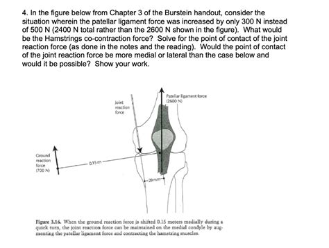 SOLVED In The Figure Below From Chapter 3 Of The Burstein Handout