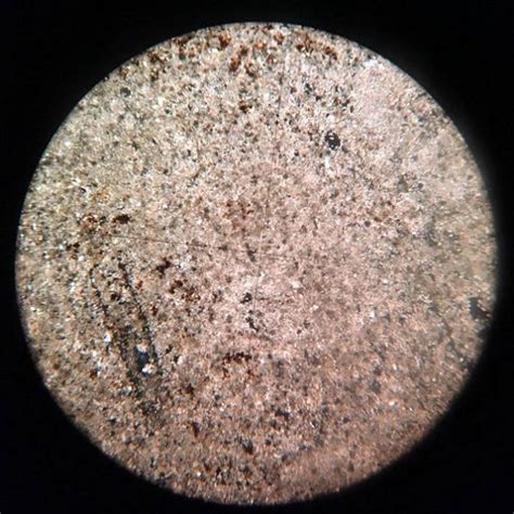 Dolomitic Limestone Slide Geology Superstore