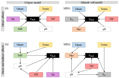 SOIL Relations Dynamic Modelling Of Weathering Rates The Benefit Over Steady State Modelling