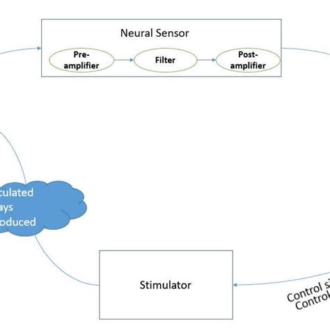 Block Diagram Of Phase Specific Deep Brain Stimulation Download Scientific Diagram