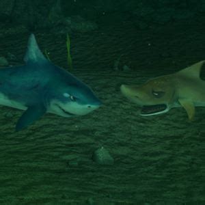 O Mar Não Está Prá Peixe Tubarões à Vista Filme AdoroCinema