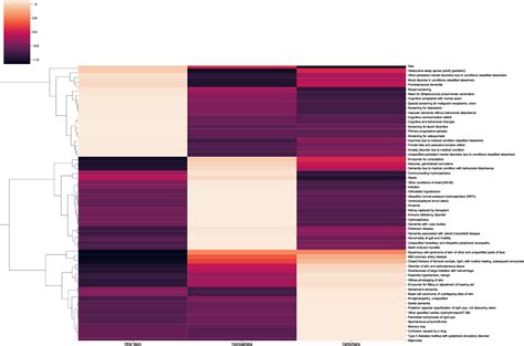Figure 5 From Leveraging Pre Trained And Transformer Derived Embeddings