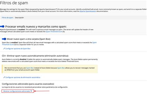 C Mo Utilizar Los Filtros De Spam En Cpanel Tutoriales Neubox