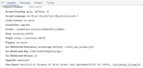 在 Aspnet Core 和 Javascript 中配置 Websocket Ew帮帮网