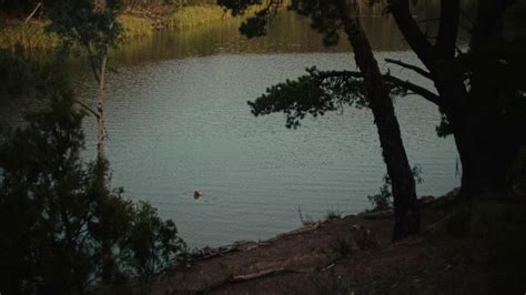 My First Summer Filmgrab