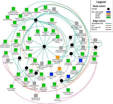 Gene Ontology Network Of Selected Proteins Proteins Were Analyzed